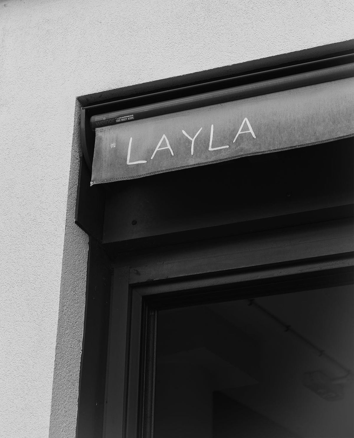 Rolodex: Rise & Fall Meets Tessa Faulkner