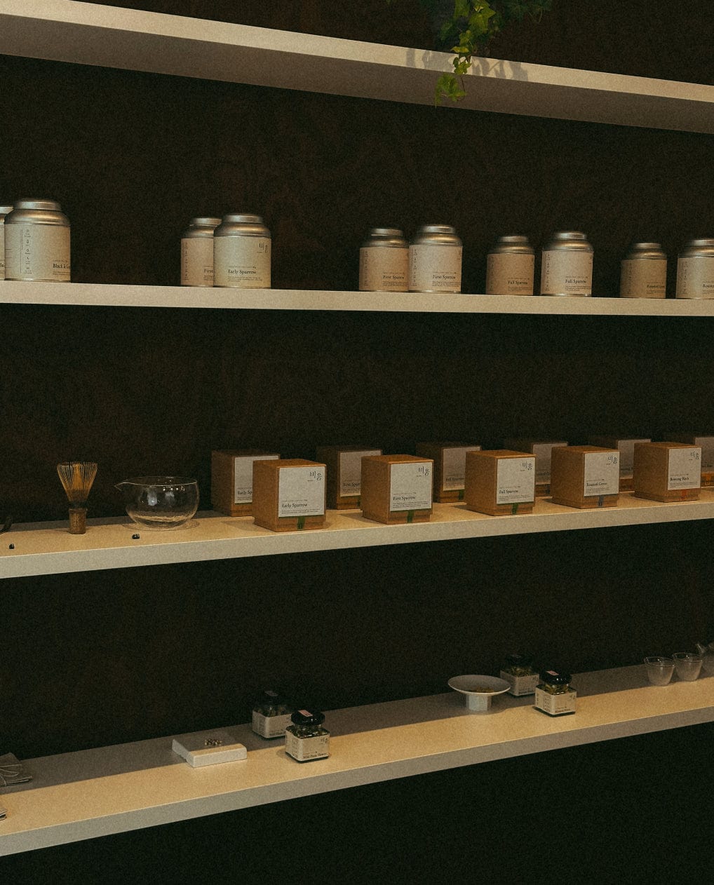 Rolodex: Rise & Fall Meets Sooji Im